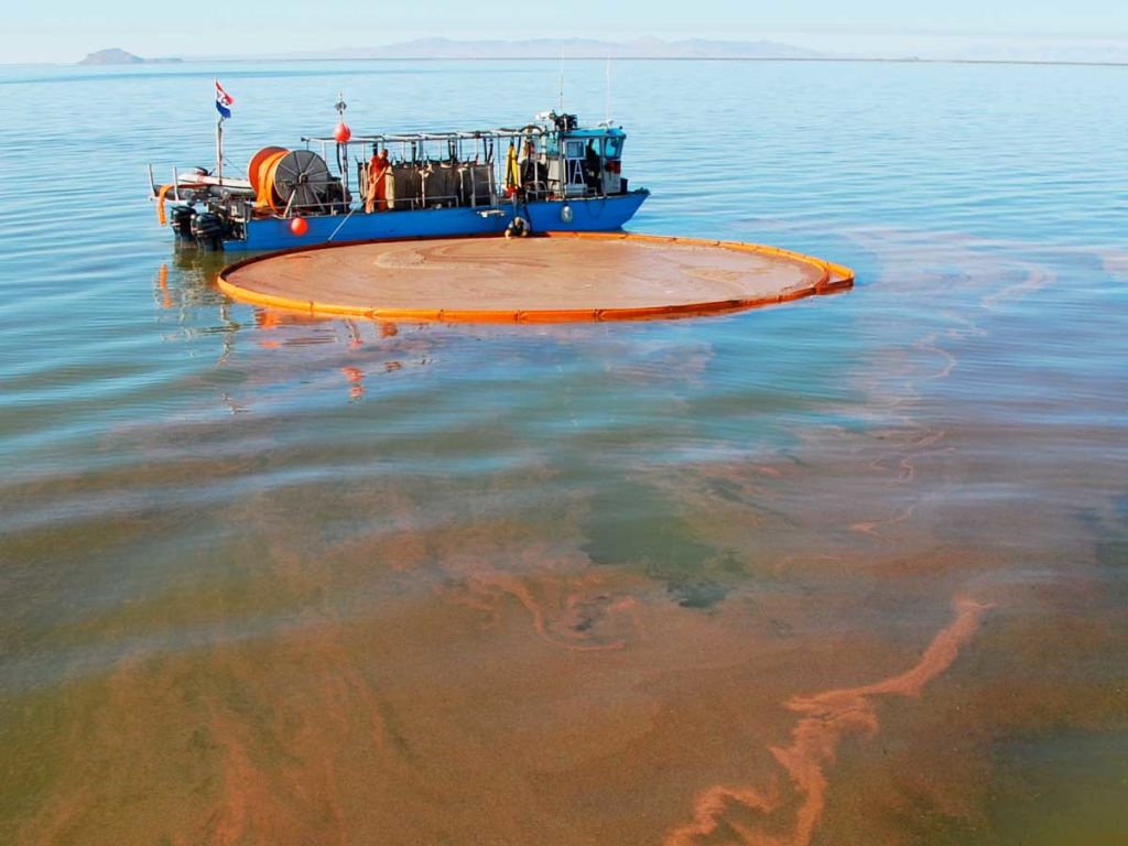 Golden West™ Artemia - GSLA